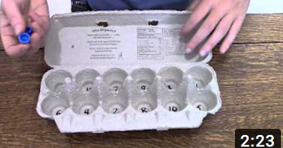 Egg Carton Math - STEAMfest